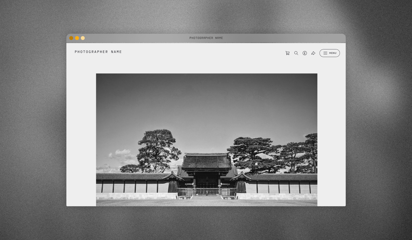 Focus: New feature: The Ultimate Guide to Picfair Themes