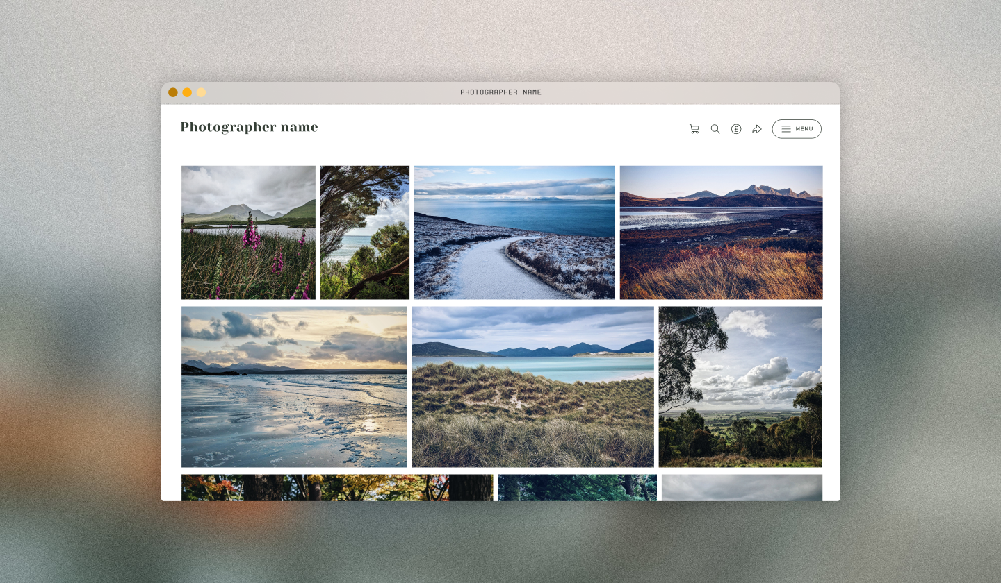 Focus: New feature: The Ultimate Guide to Picfair Themes