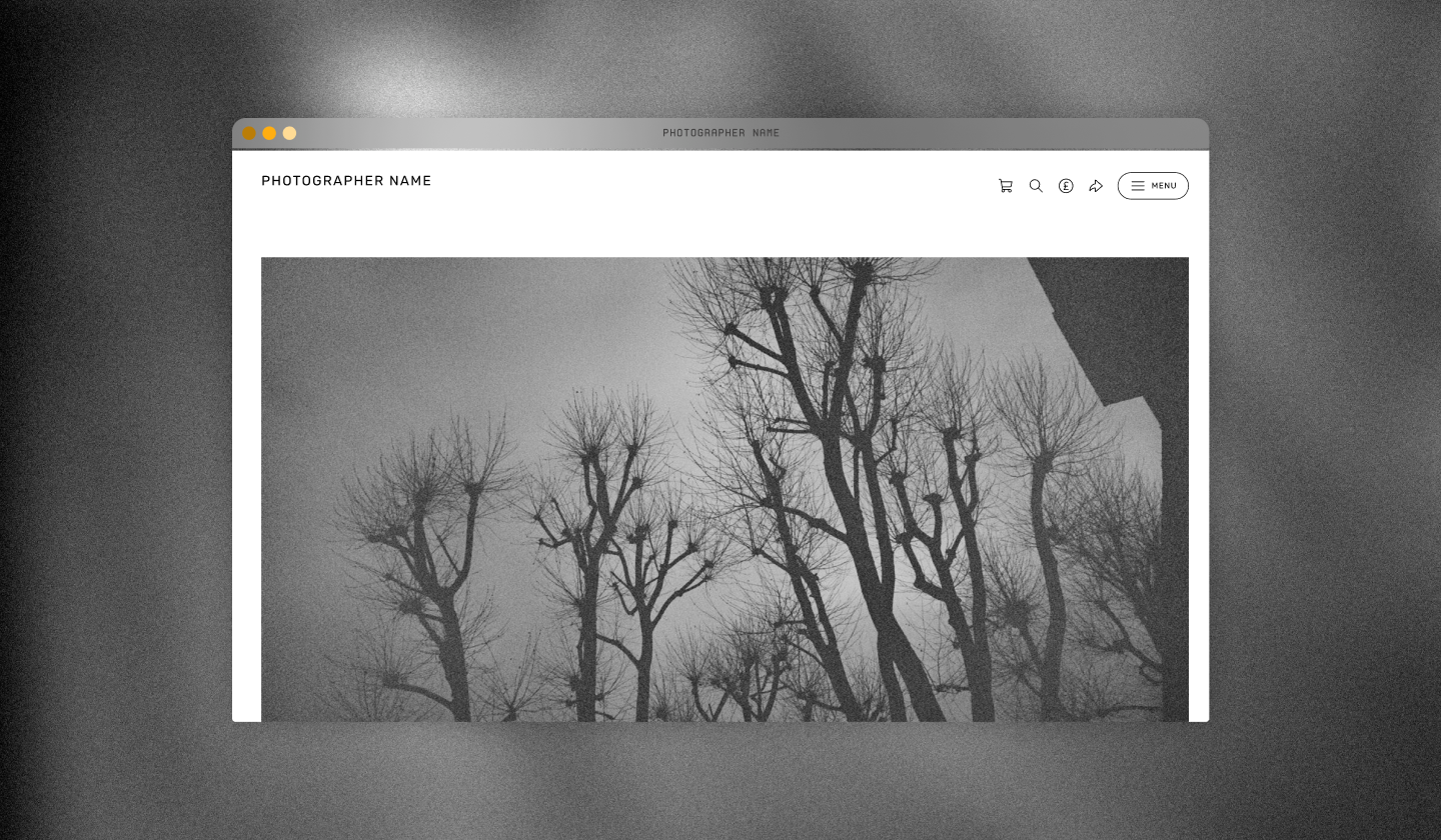 Focus: New feature: The Ultimate Guide to Picfair Themes
