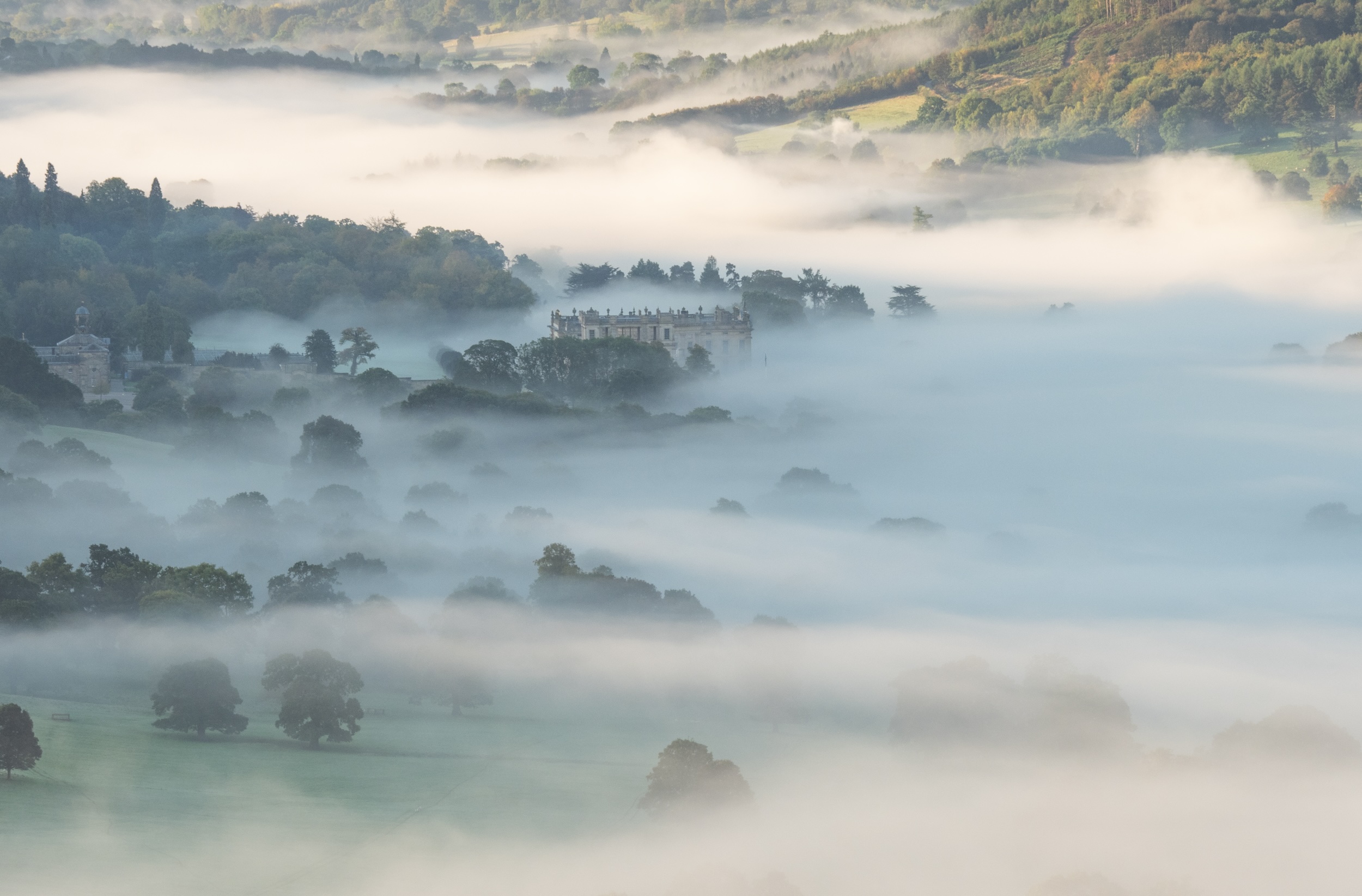 Focus: Sold on Picfair Stores - 1 May 2024