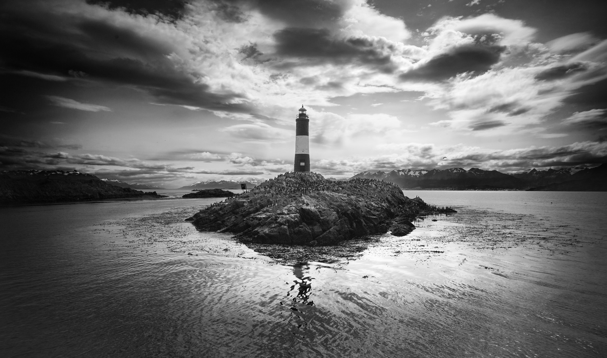 Focus: April Photo Highlights from Picfair Stores - 2024