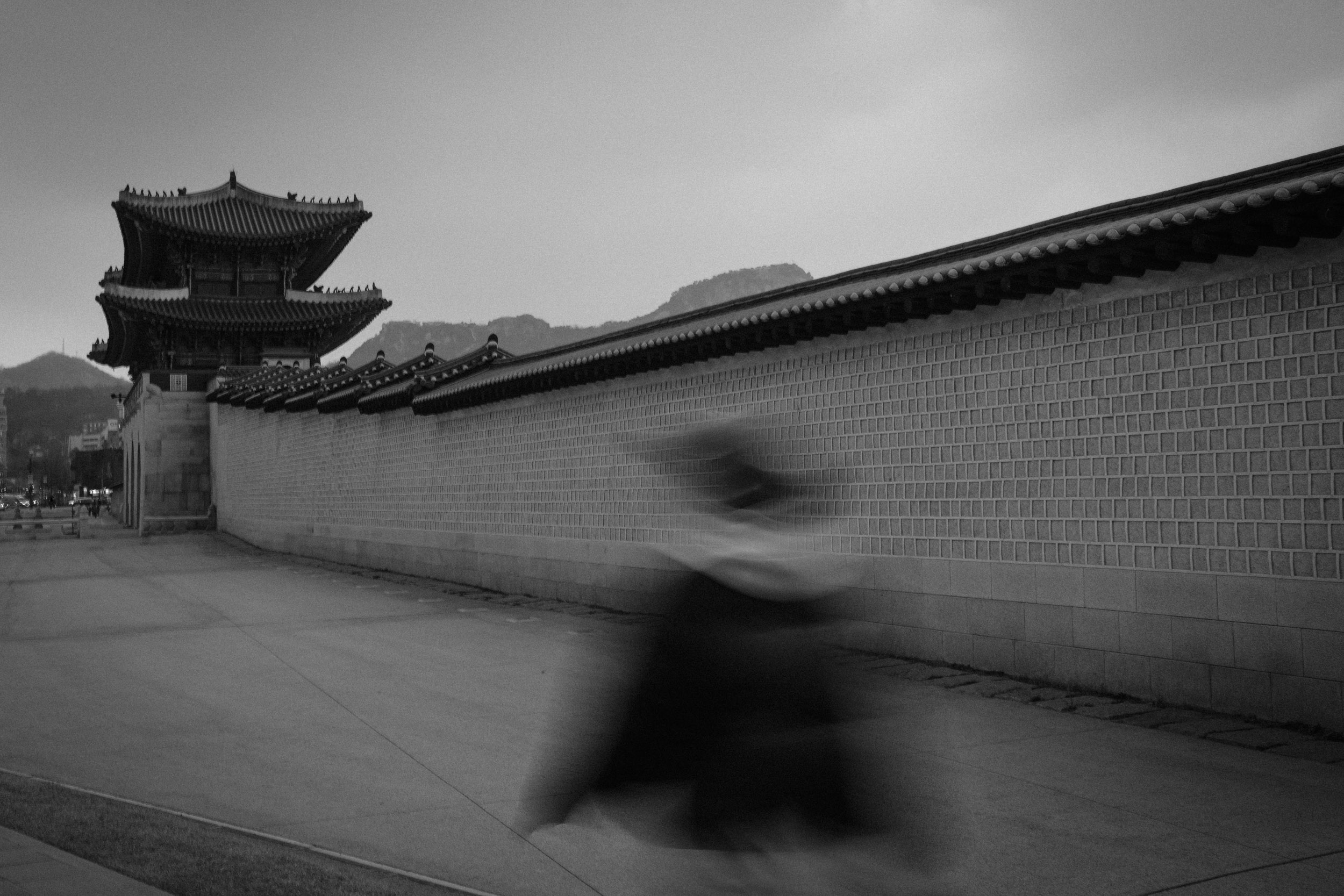 Focus: April Photo Highlights from Picfair Stores - 2024