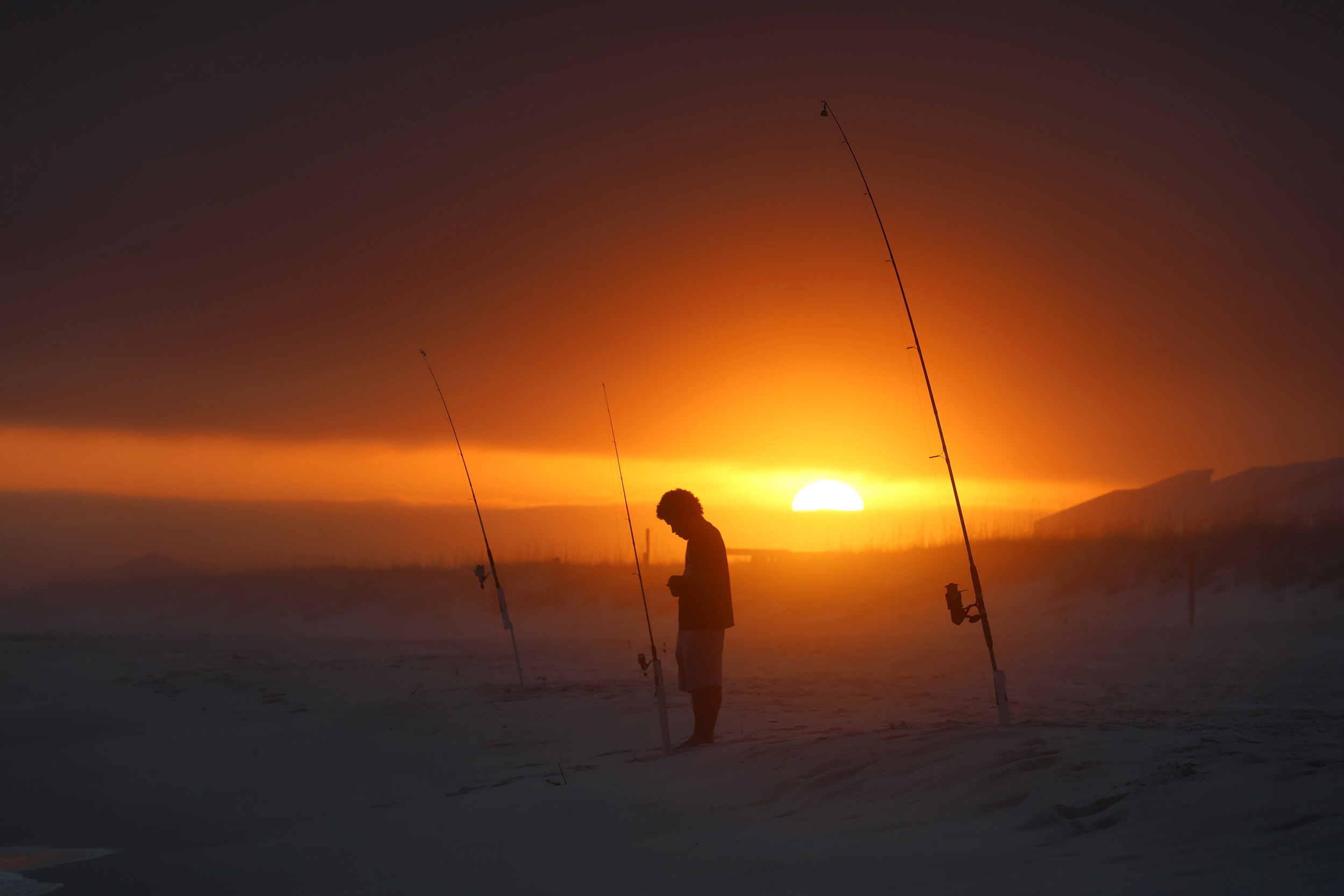 Focus: April Photo Highlights from Picfair Stores - 2024