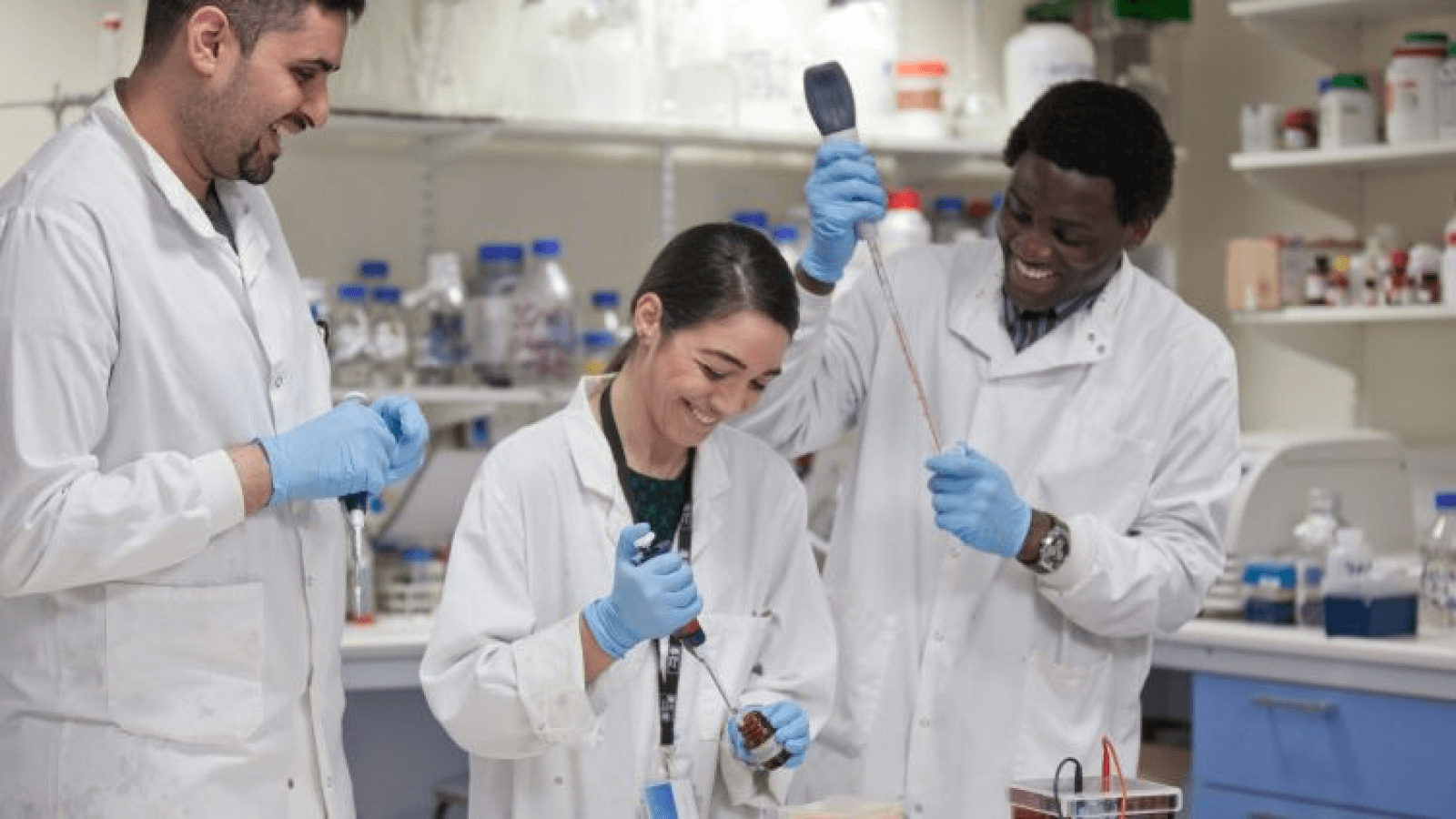 Finding Work Experience Great Alternatives