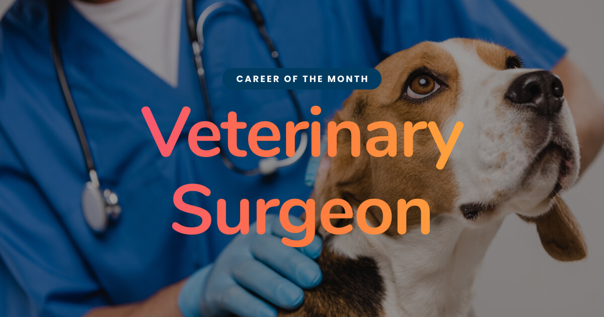 Career Focus of the Month: Becoming a Veterinary Surgeon