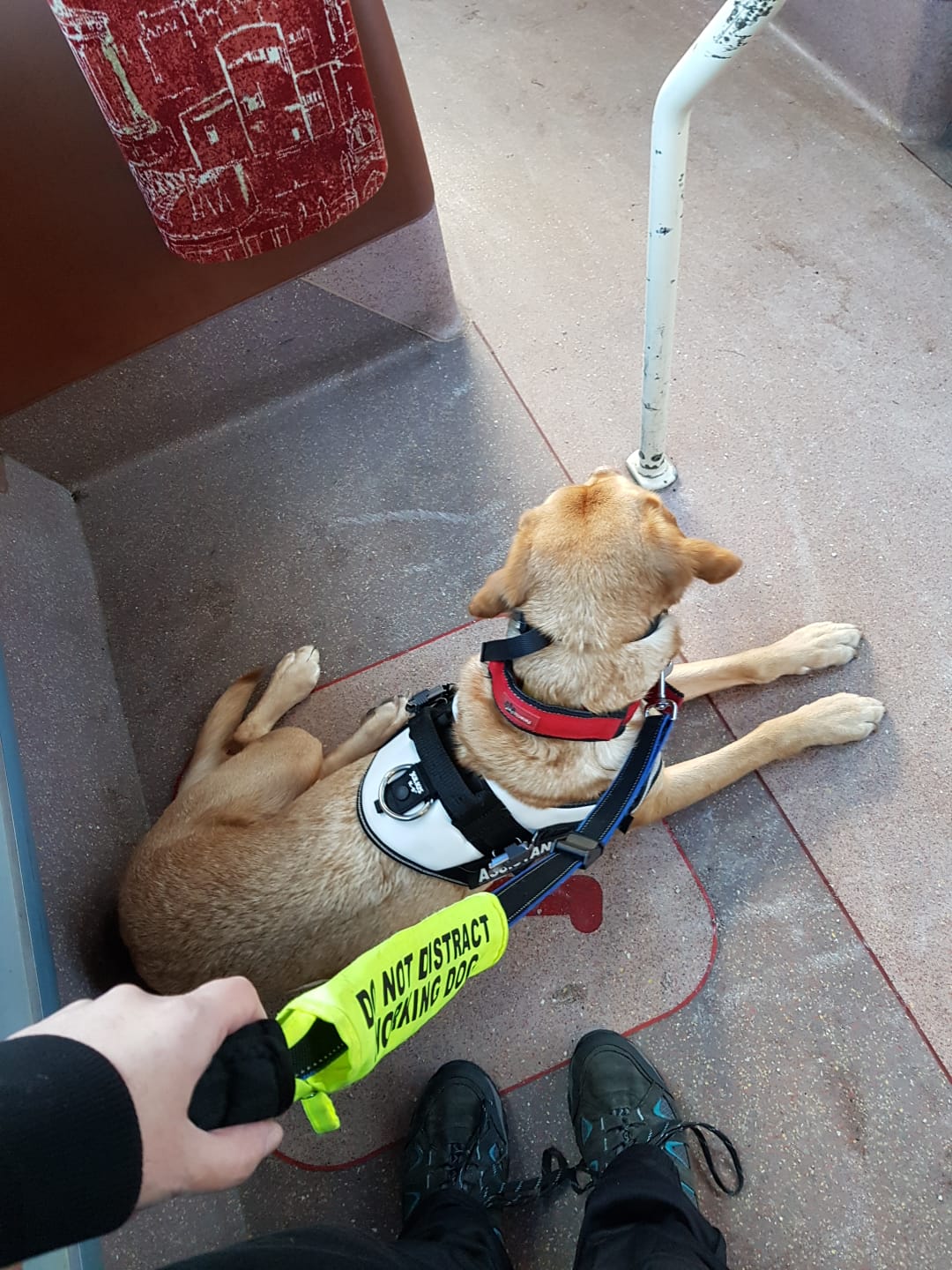 What are the benefits? | Autism Dogs Charity