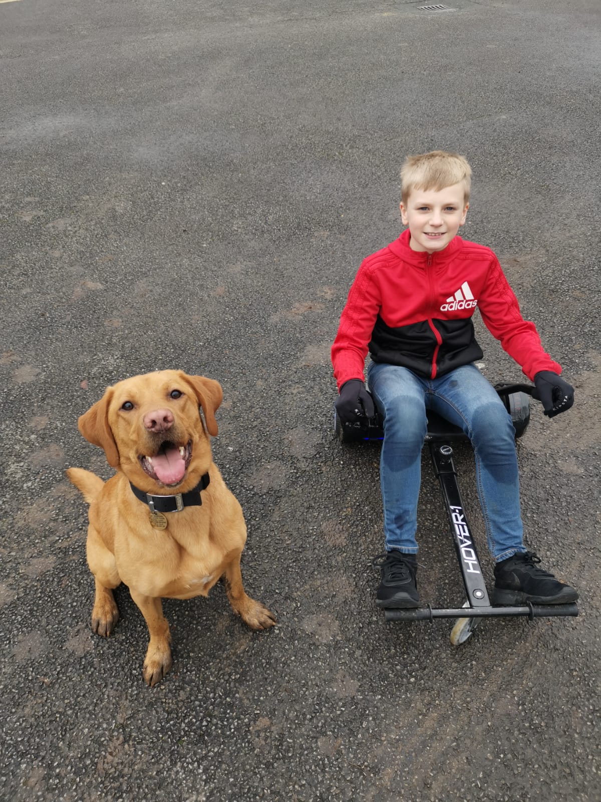 What are the benefits? | Autism Dogs Charity