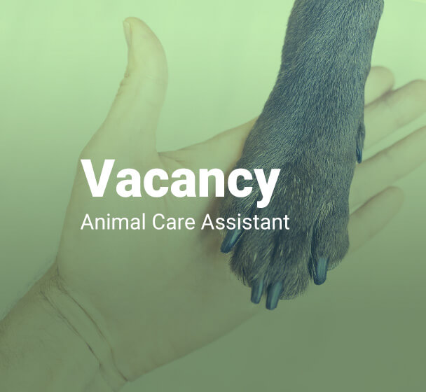 Vacancy - Animal Care Assistant | Autism Dogs Charity