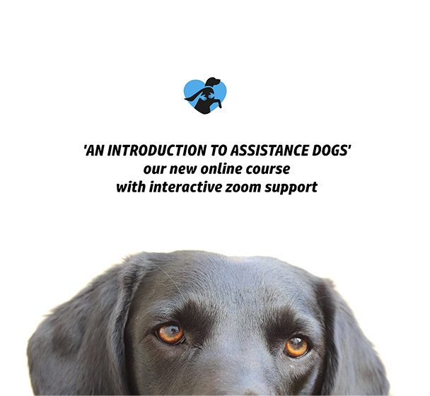 'An Introduction to Assistance Dogs' course by Autism Dogs CIC | Autism Dogs Charity