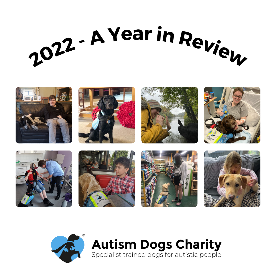 2022 - A Year in Review | Autism Dogs Charity