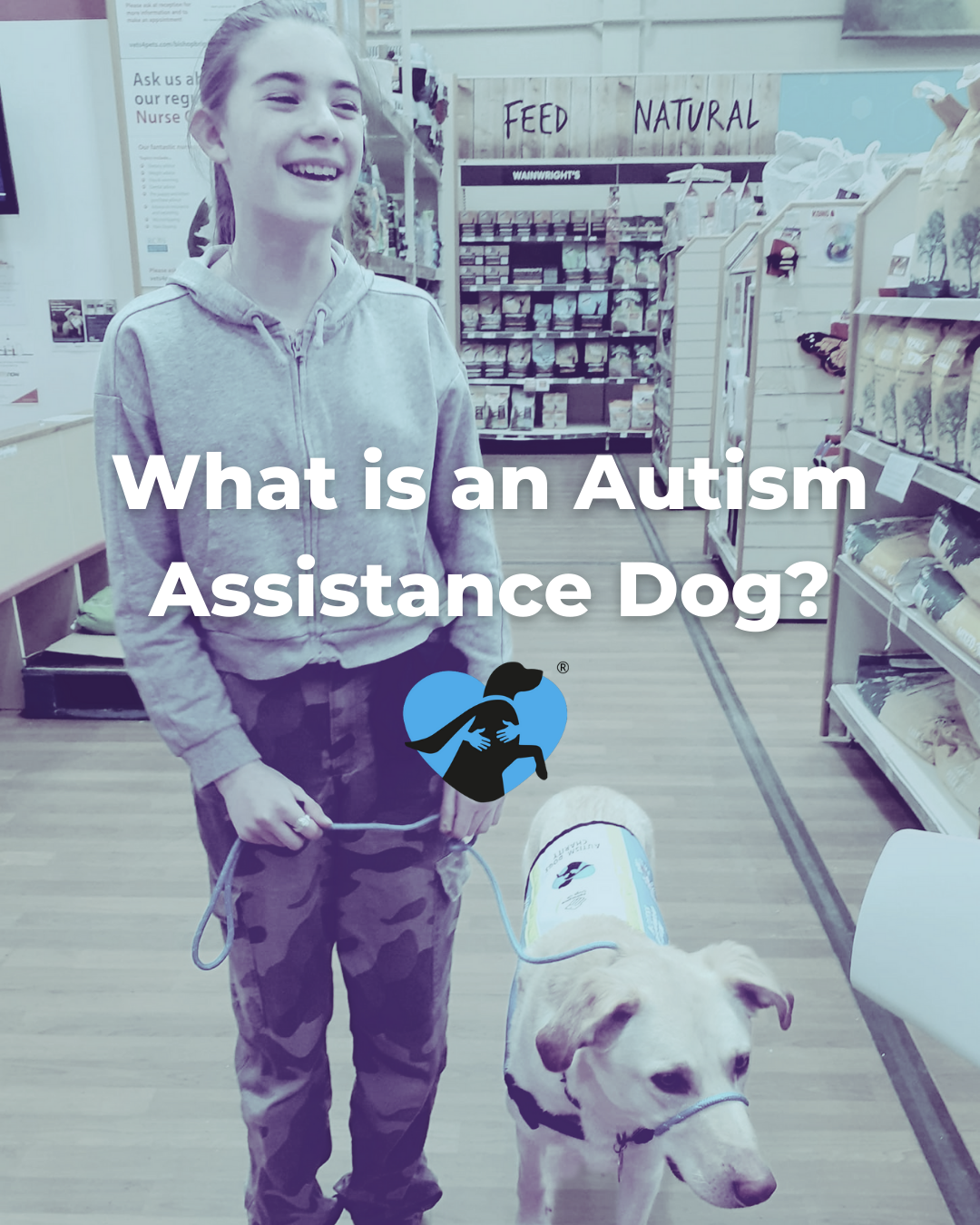 What is an Autism Assistance Dog? | Autism Dogs Charity