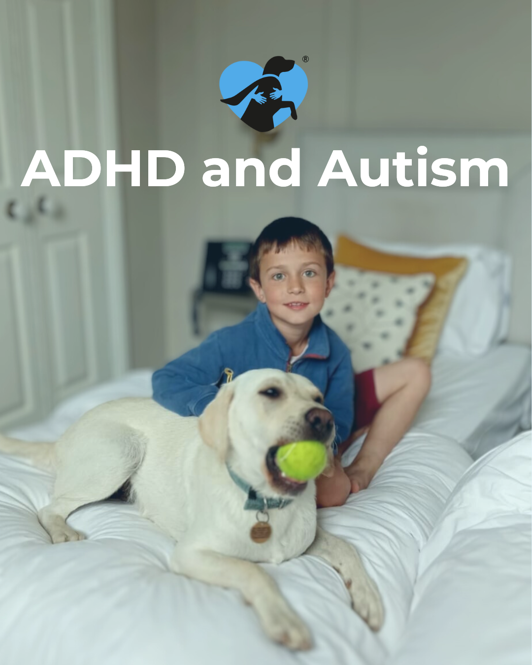 ADHD and Autism | Autism Dogs Charity