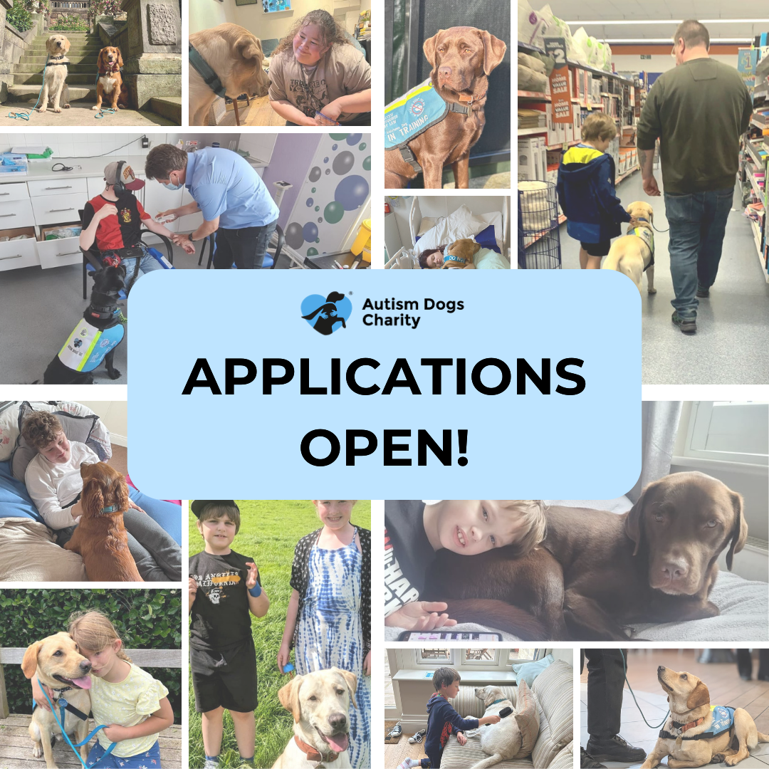 Applications open! | Autism Dogs Charity