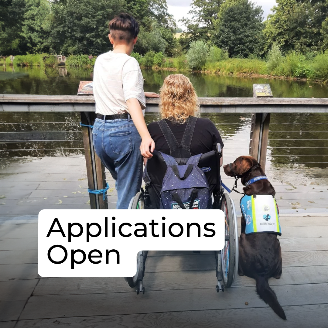 Applications for Residential Assistance Dog Programme open | Autism ...