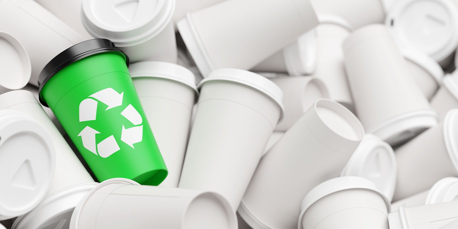 Packaging Sustainability – Eco Friendly Packaging for a Greener Future ...