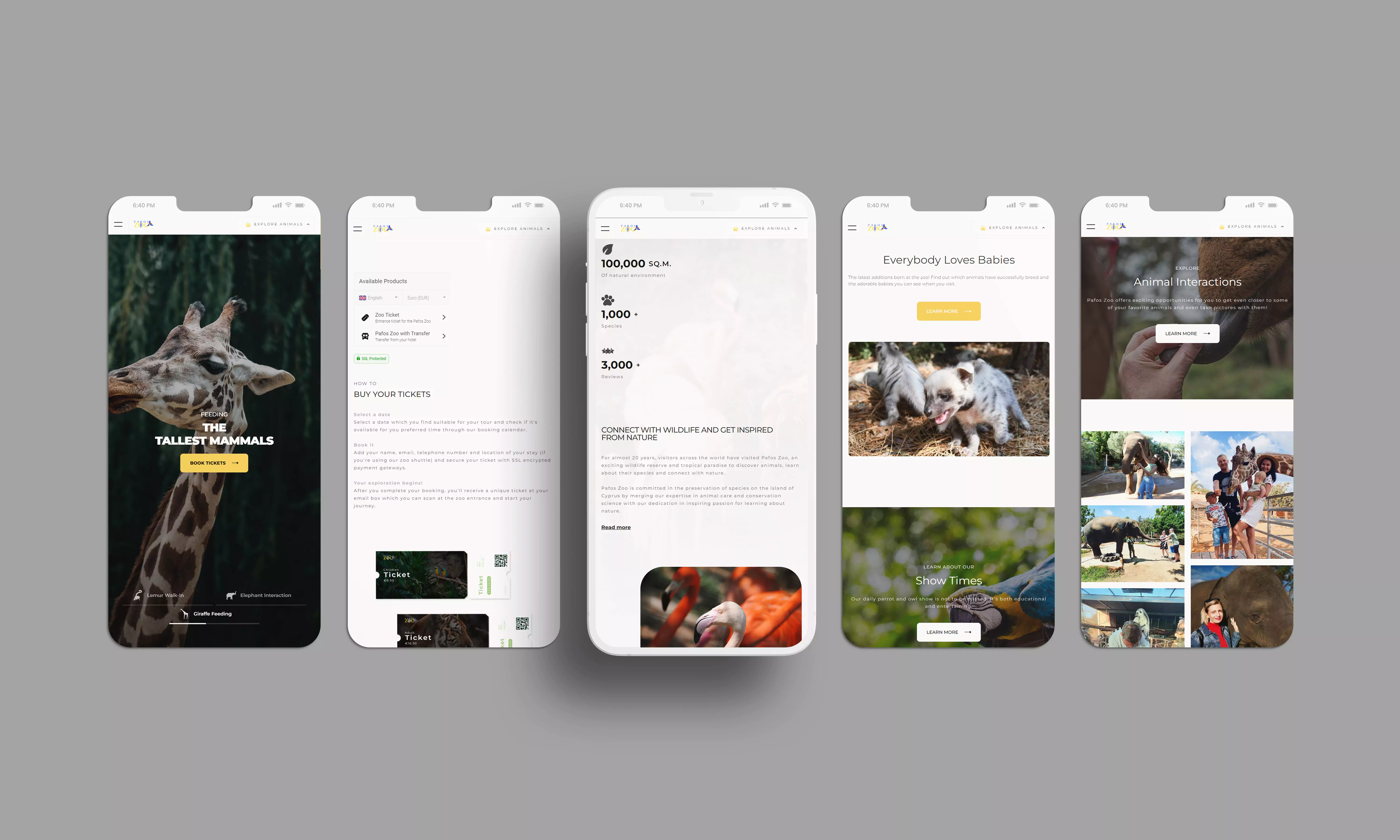 Paphos Zoo | Oracle Studios