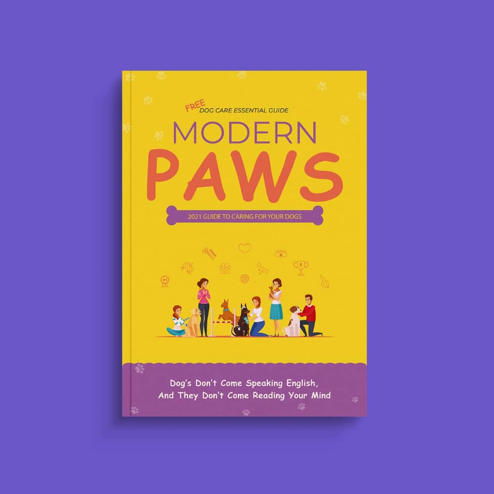 Modern Paws | A Modern Dog Care Essential Guide | FREE