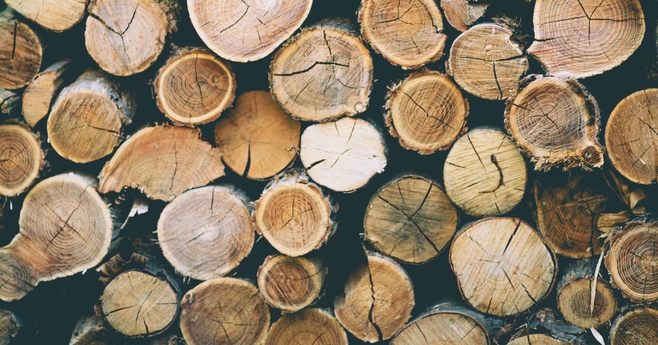FSC SUSTAINABLE WOOD ARTICLE