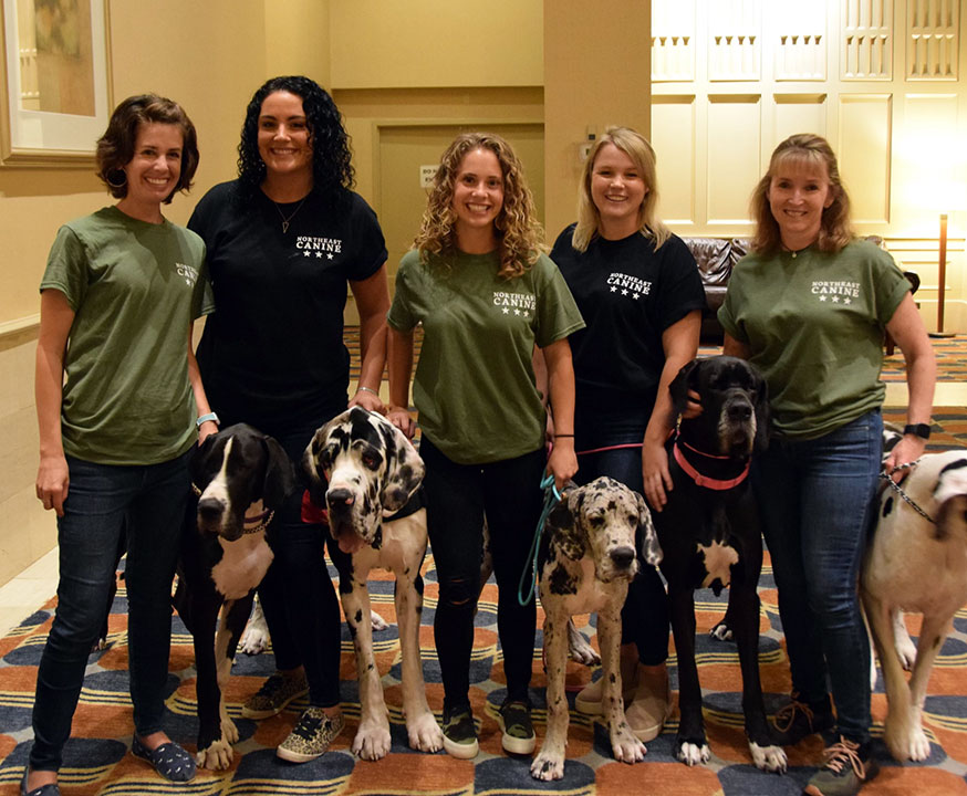 Northeast Canine - About