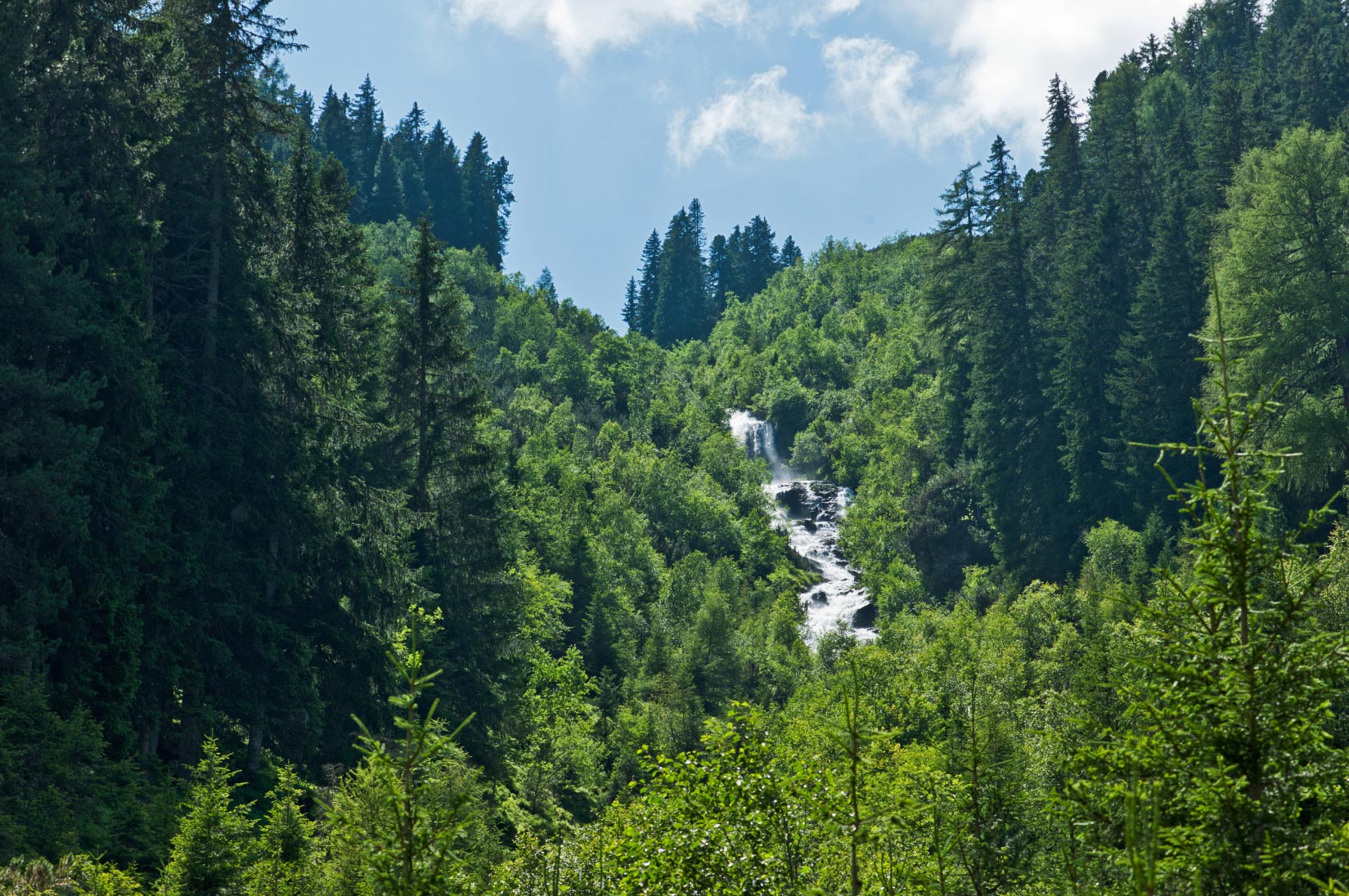 Water Partners & Programs