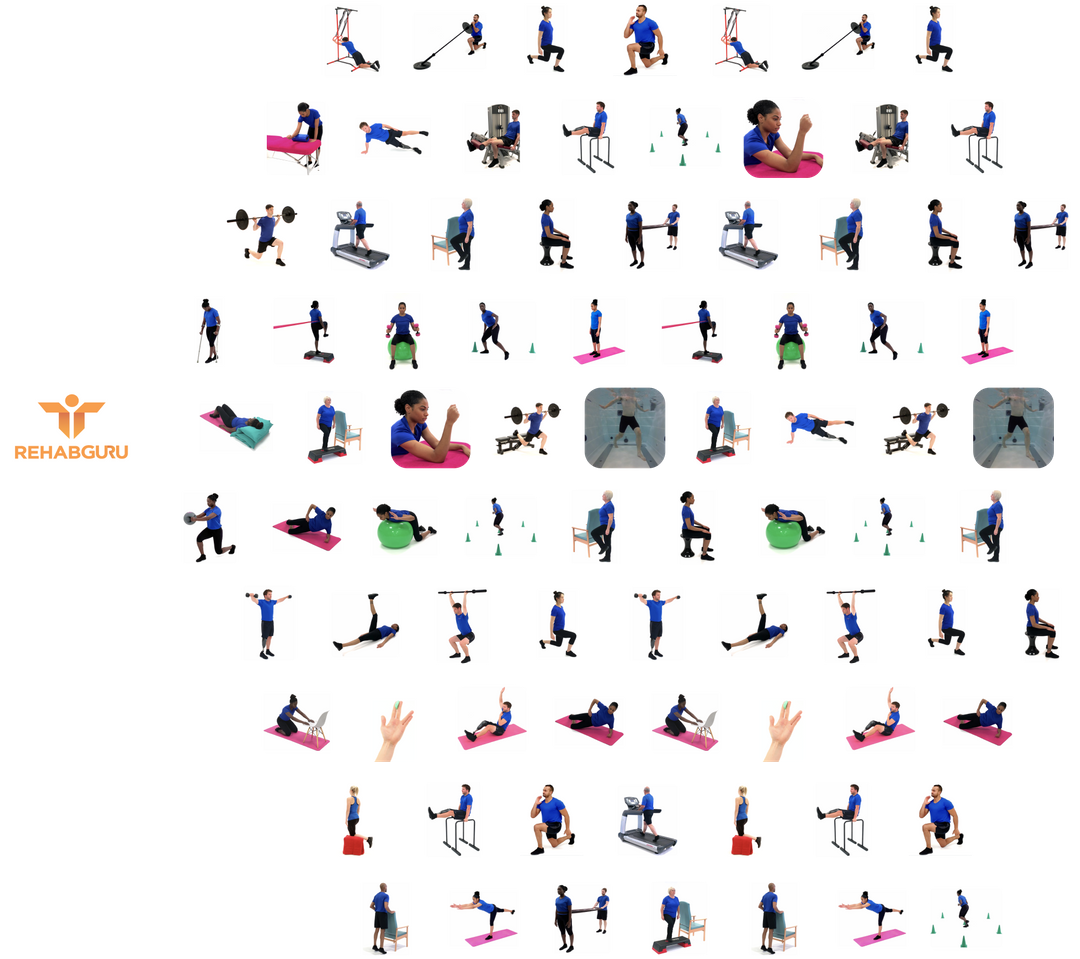 Exercises, Telehealth, Treatment Notes, Patient Forms, Bookings