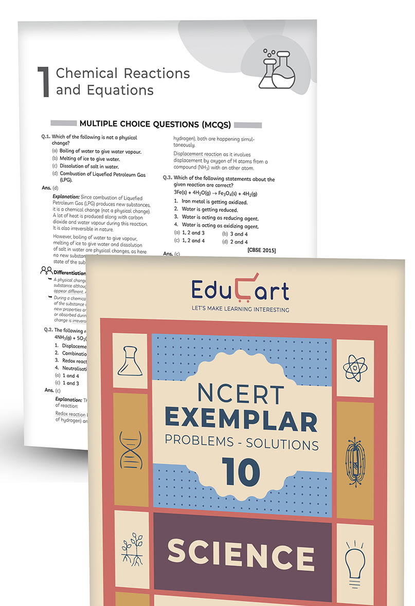 Educart NCERT Exemplar Bundle of Class 10 Science & Mathematics (Combo ...