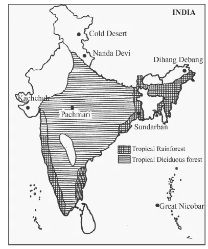 On an outline map of India, label the following. (i) Areas of Evergreen ...