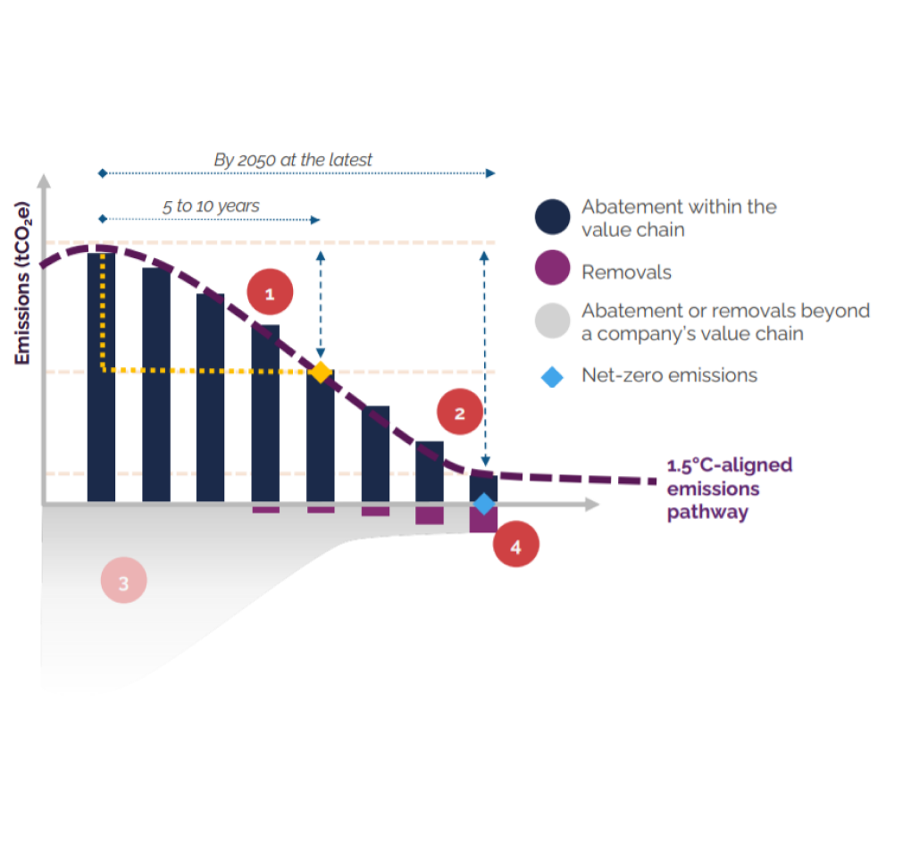 The role of voluntary carbon credits in science-based targets