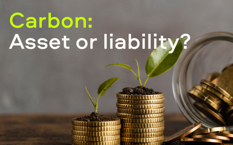 Carbon: Asset or liability?