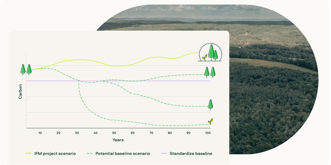 Improved Forest Management (IFM) Framework