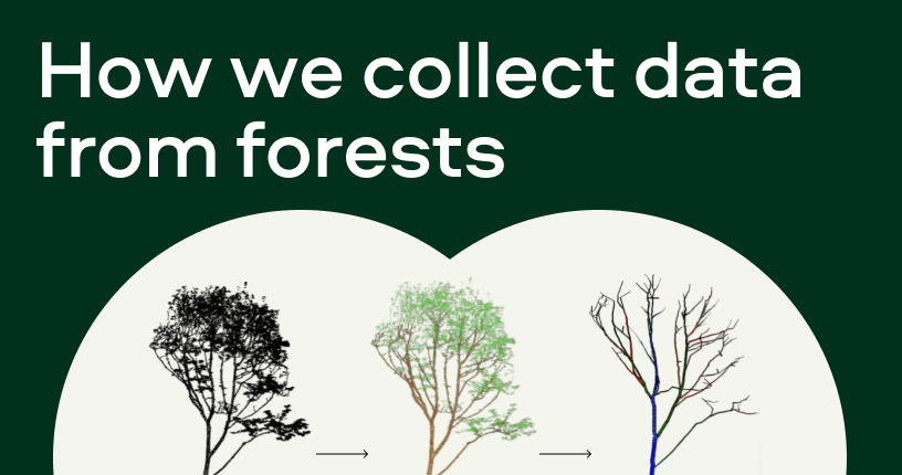 How we're building the world's most accurate dataset on the carbon ...