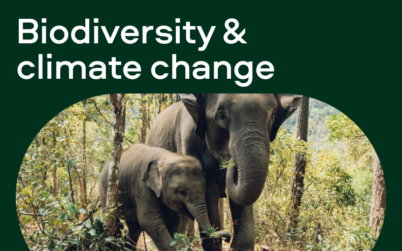 Tackling the climate and biodiversity crises with nature-based solutions