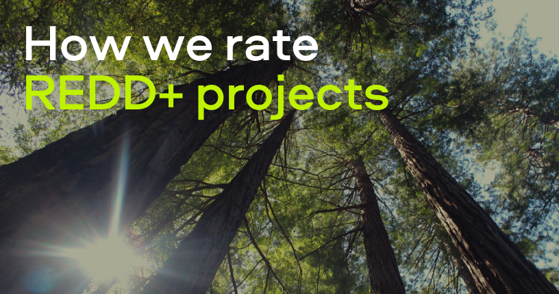 Achieving your climate goals with REDD+