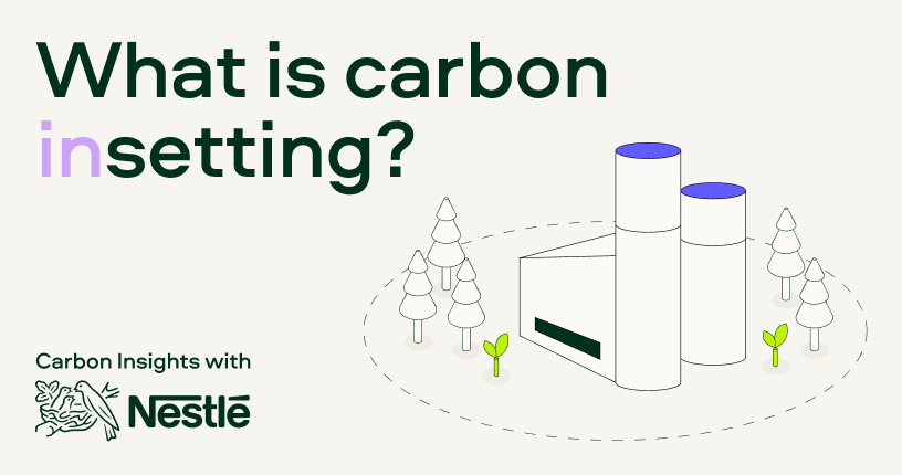 The difference between insetting and offsetting