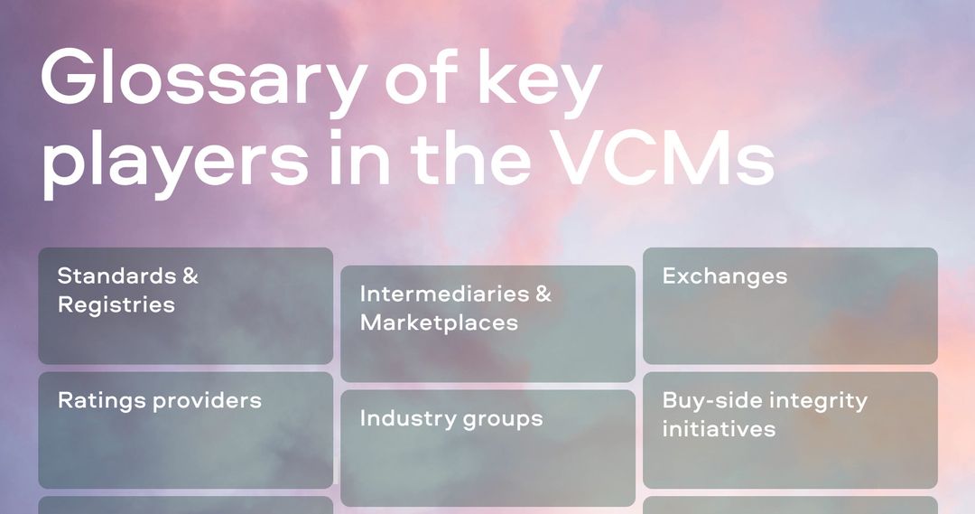 The voluntary carbon markets ecosystem, simplified