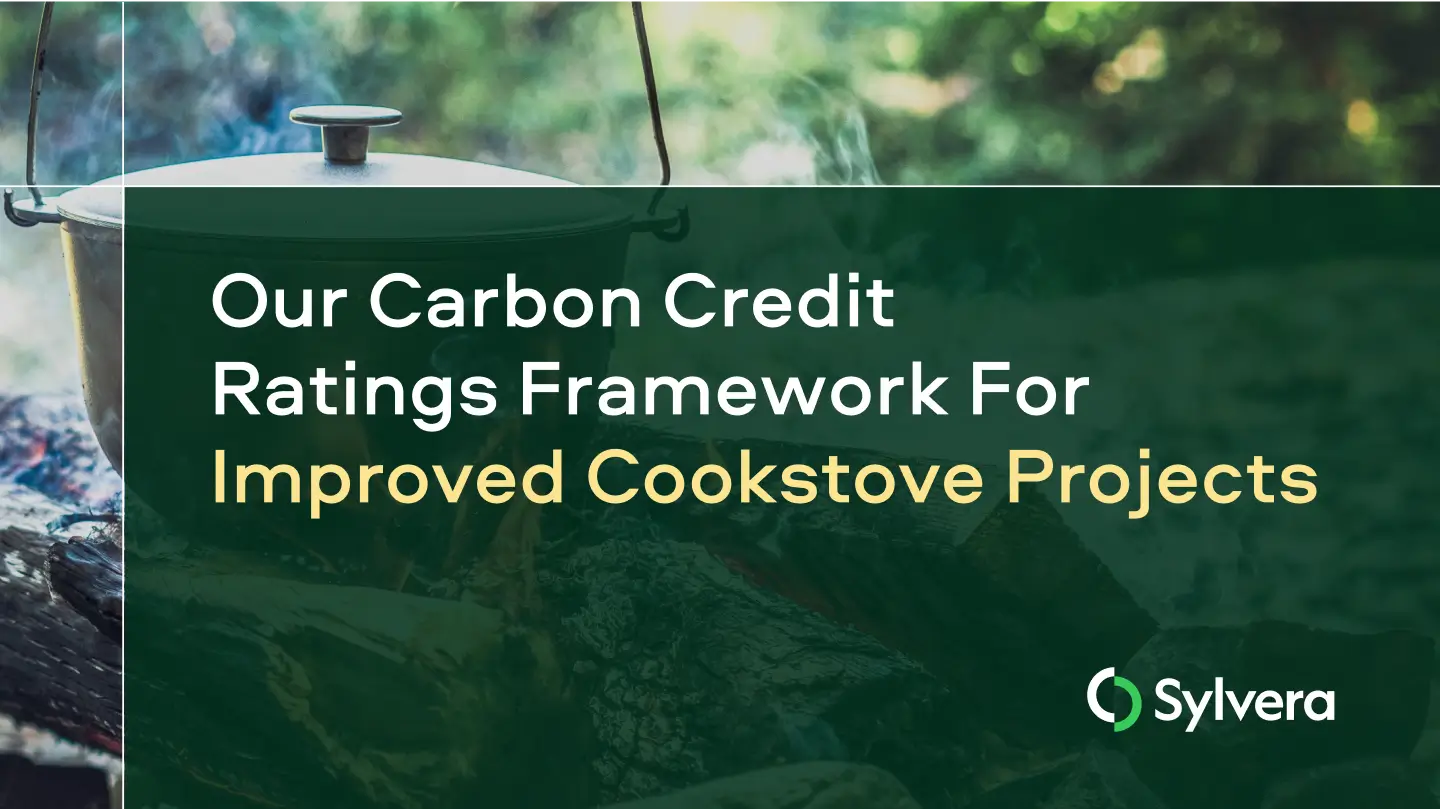Improved Cookstove Projects