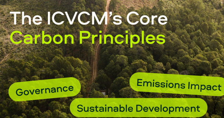 The IC-VCM’s Core Carbon Principles