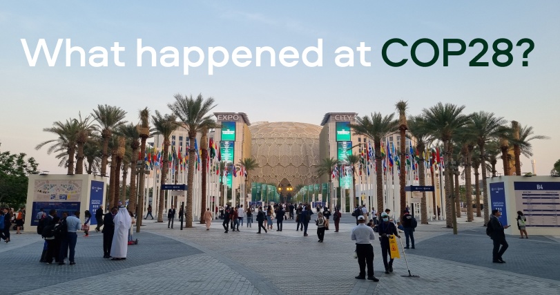 What Happened at COP28 and What it Means for Climate Action