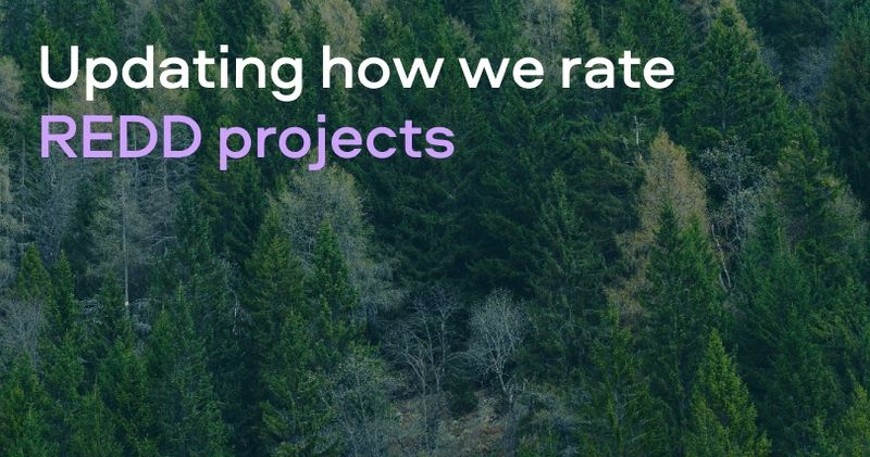 Understanding what’s happening between the forests and the trees ...