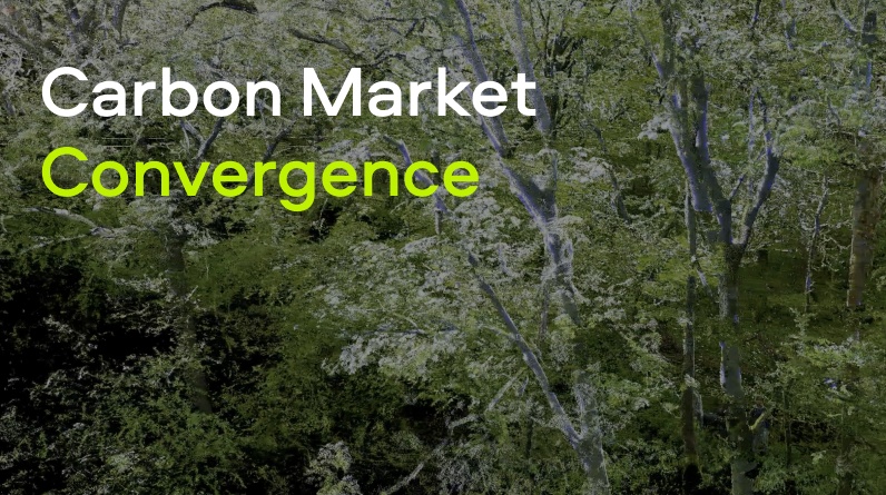 Carbon Market Convergence: What carbon markets' blurring lines means ...