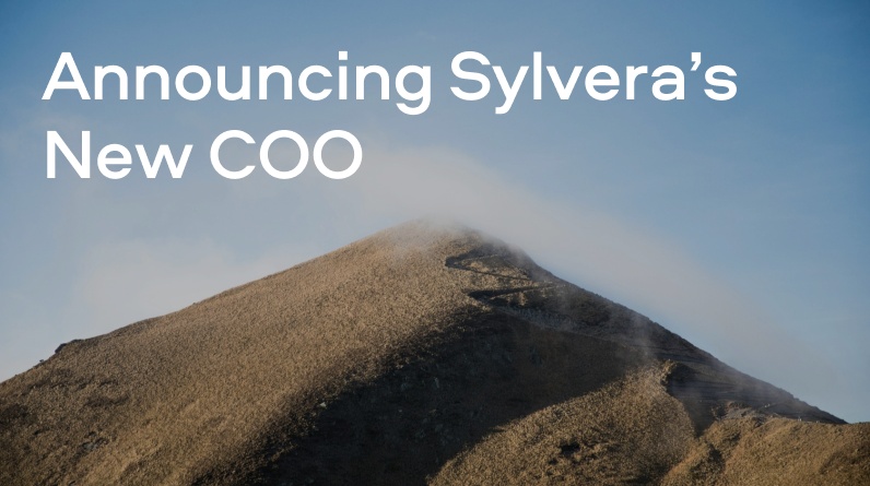 Demystifying the carbon markets for more urgent corporate climate action