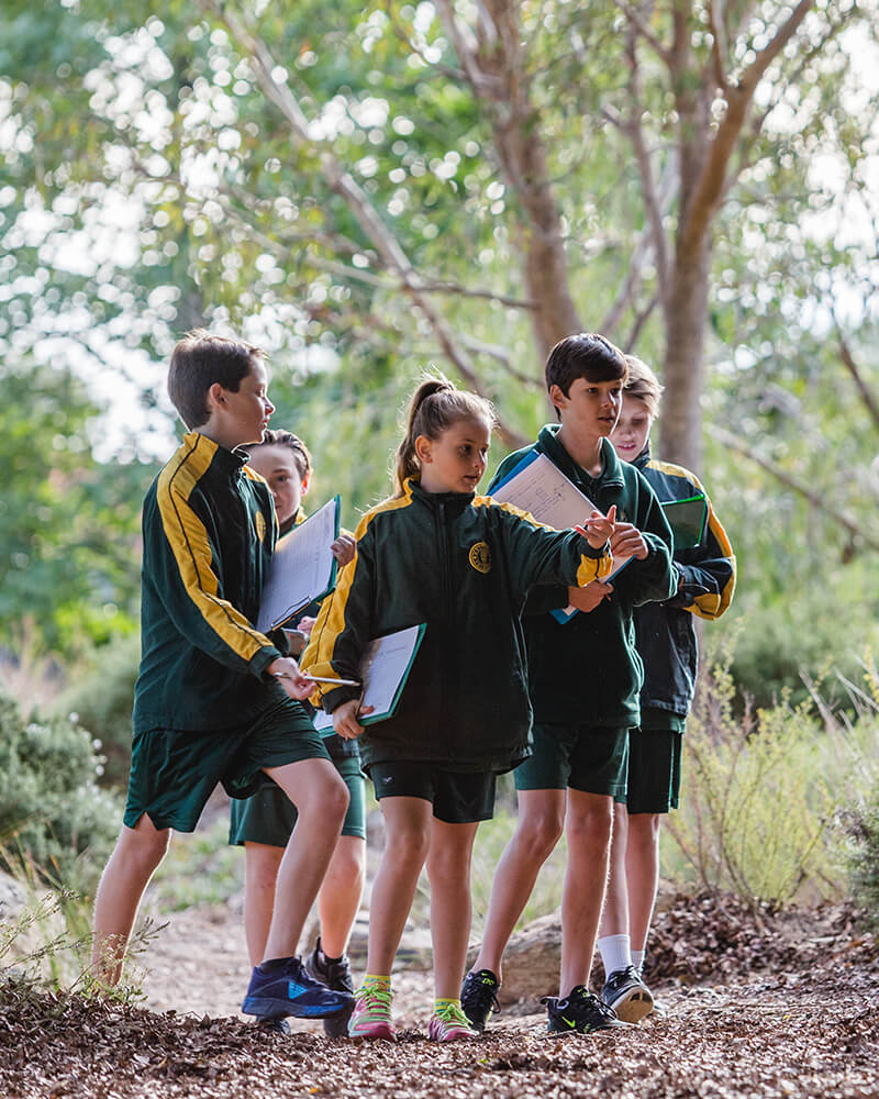 Home | Creative Schools