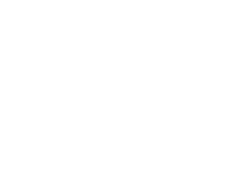 Ellio • Agence conseil en développement durable
