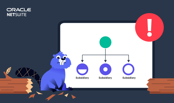 NetSuite Roles and Permissions: The Full Practical Guide [2023]