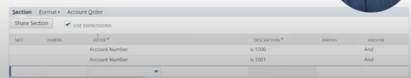 Mastering NetSuite Financial Reports Customization: A Comprehensive Guide