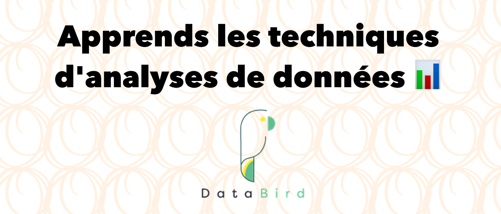 Formation Excel - intermédiaire par DataBird