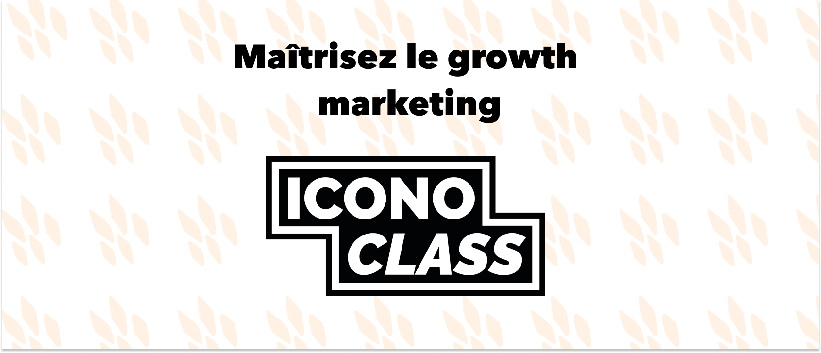 Formation Online school by iconoClass - Silver 🛠 par iconoClass