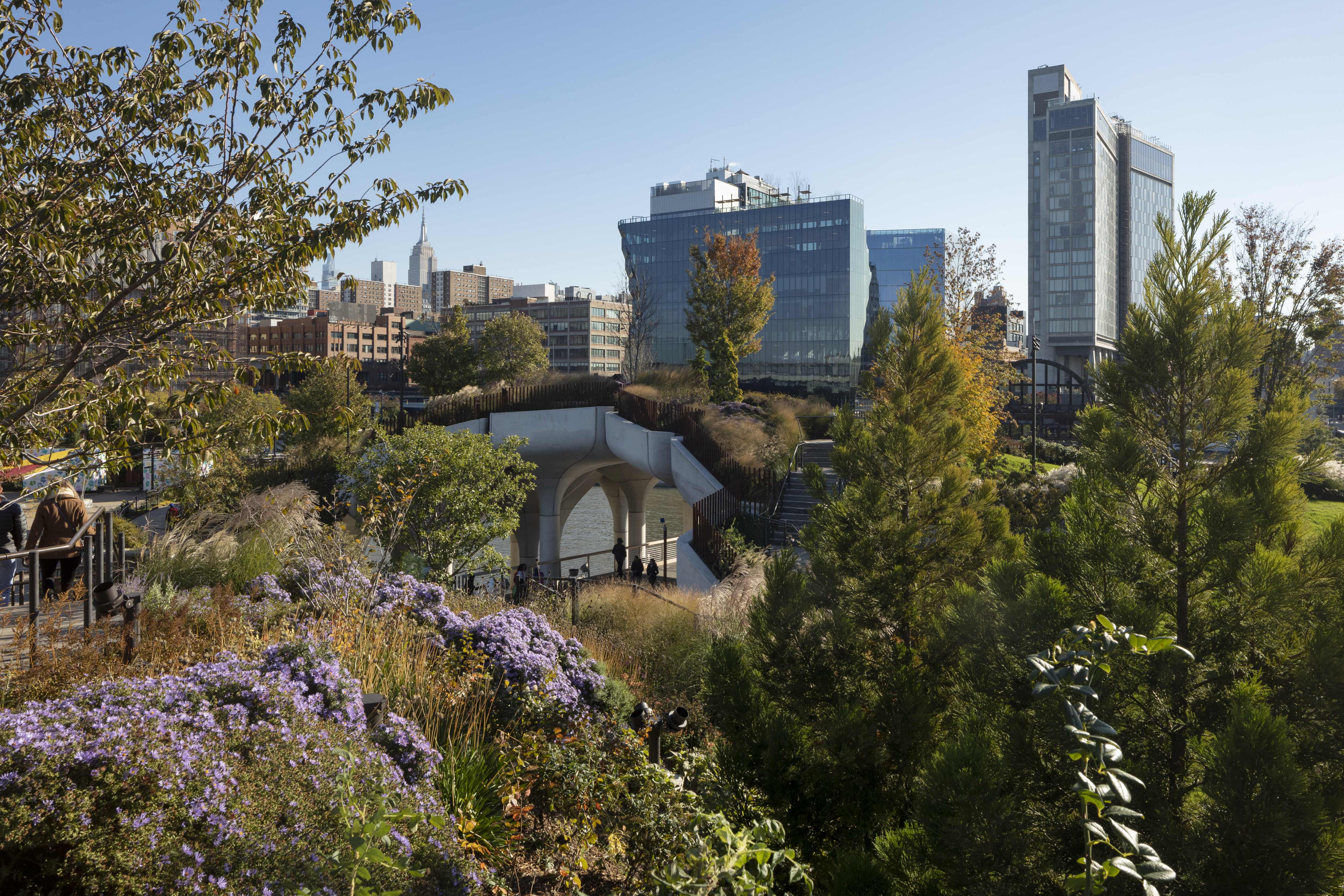 Guided Tour of Little Island