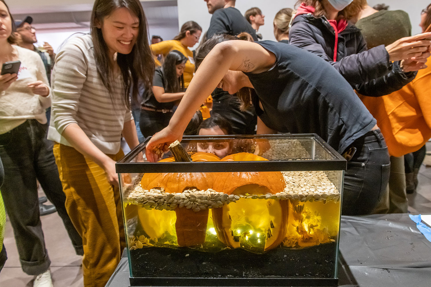 Pumpkitecture! Architectural Pumpkin Carving Competition