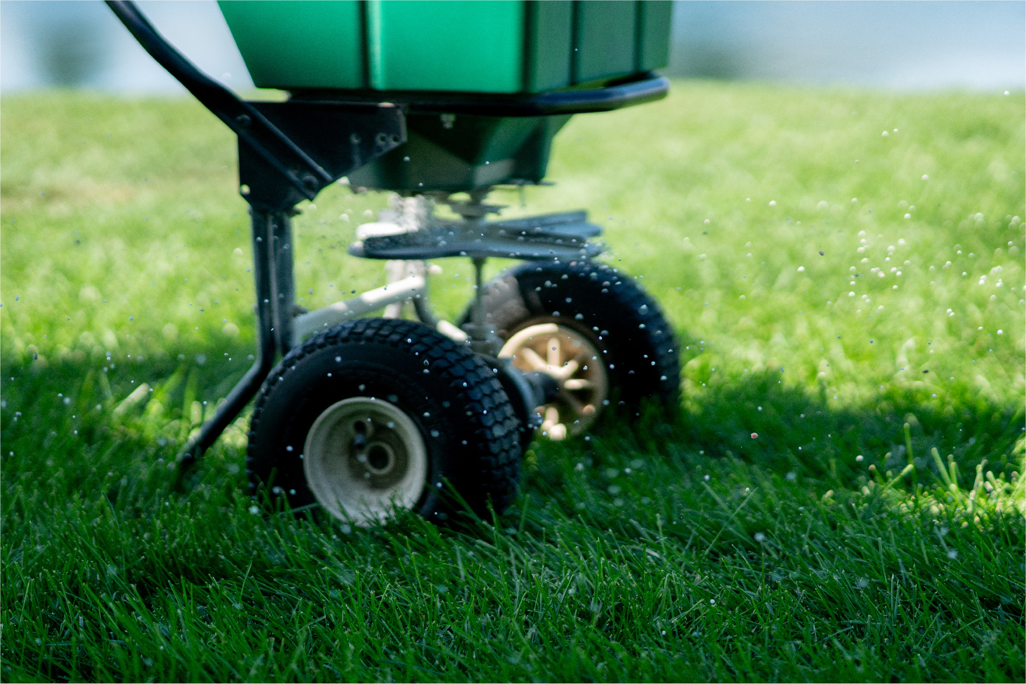 Green lawn service online